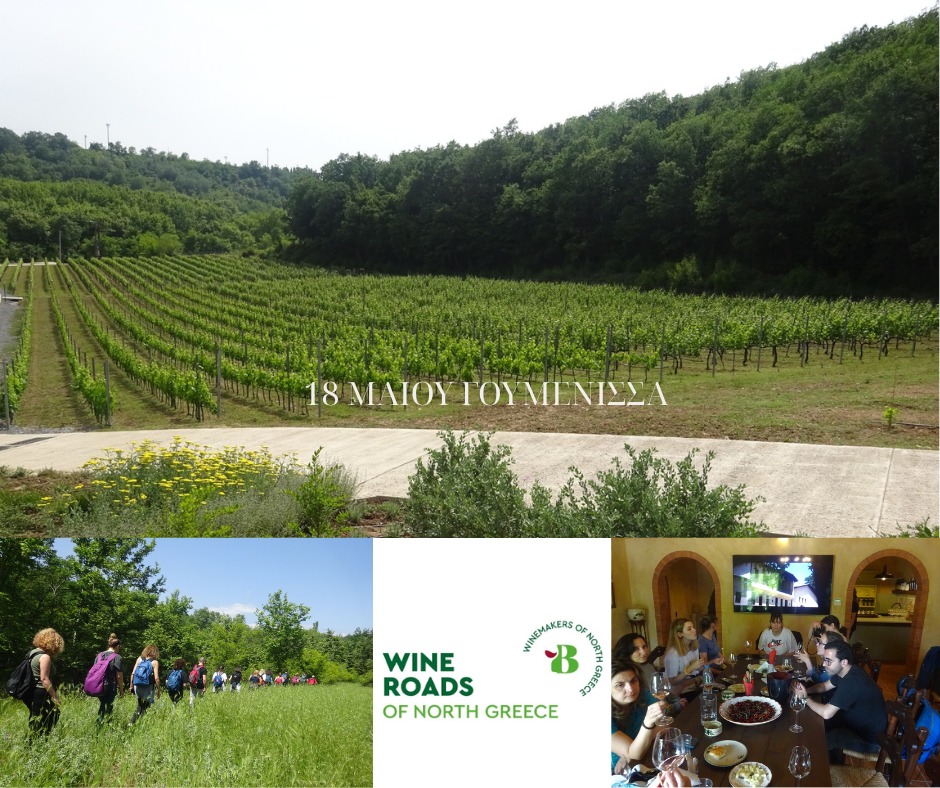 Hiking & Wine "Ανοιχτές Πόρτες 2025| 18 Μαΐου Γουμένισσα — TRACE YOUR ECO